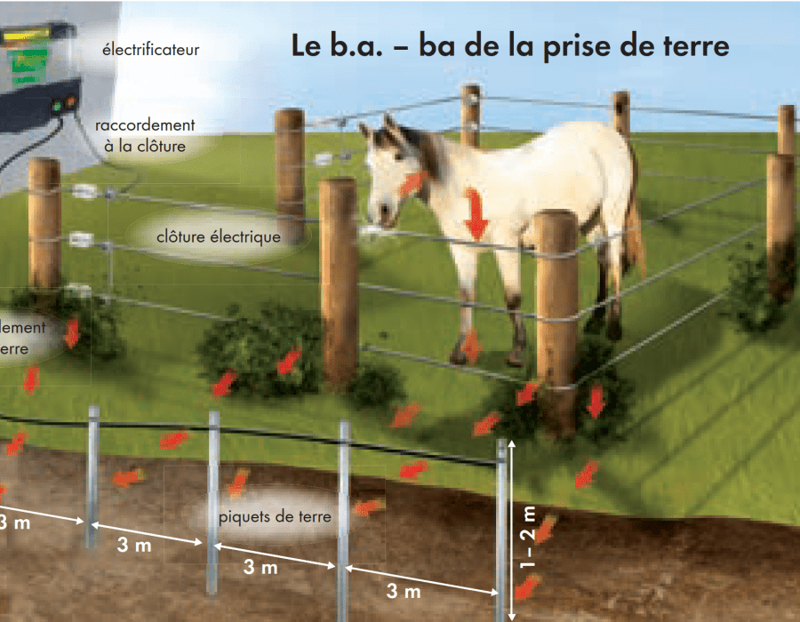 Choix de l'électrificateur - Clôture électrique chevaux